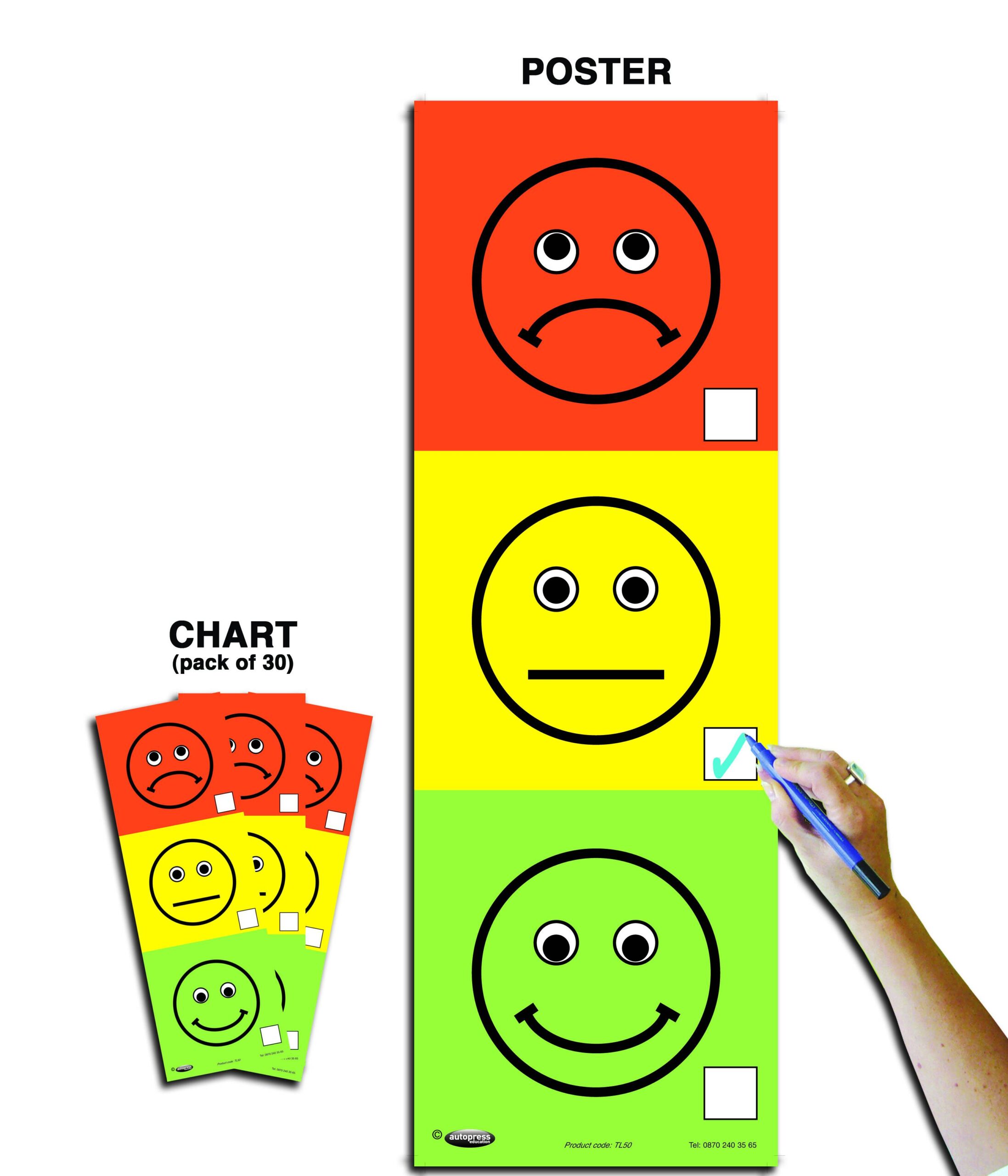 TRAFFIC LIGHT POSTER » Autopress Education